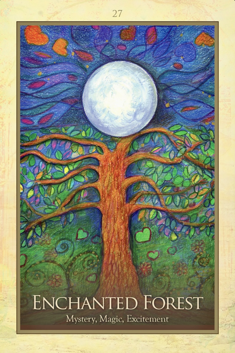 Weekly Card Reading - Enchanted Forest - Heidi Wells